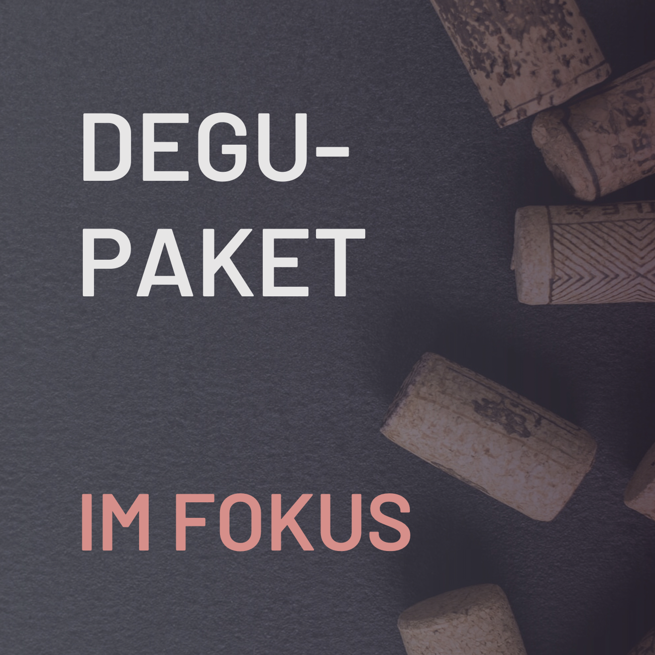 Degustationspaket Im Fokus 6 Fl. “Start in den Frühling“ - La ...